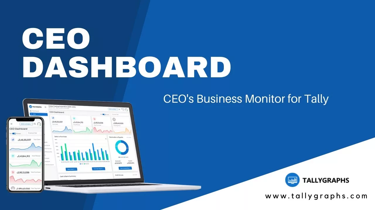 CEO Dashboard - Every Small Business CEO Must Track From Tally.ERP 9 ...